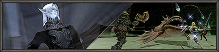 次回追加予定のフェイスはAAEV: FFXIの青い日記：3冊目